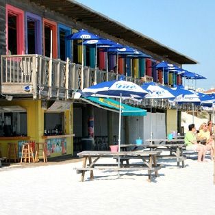 Sandy born 71's photos on Paltalk | 49, F